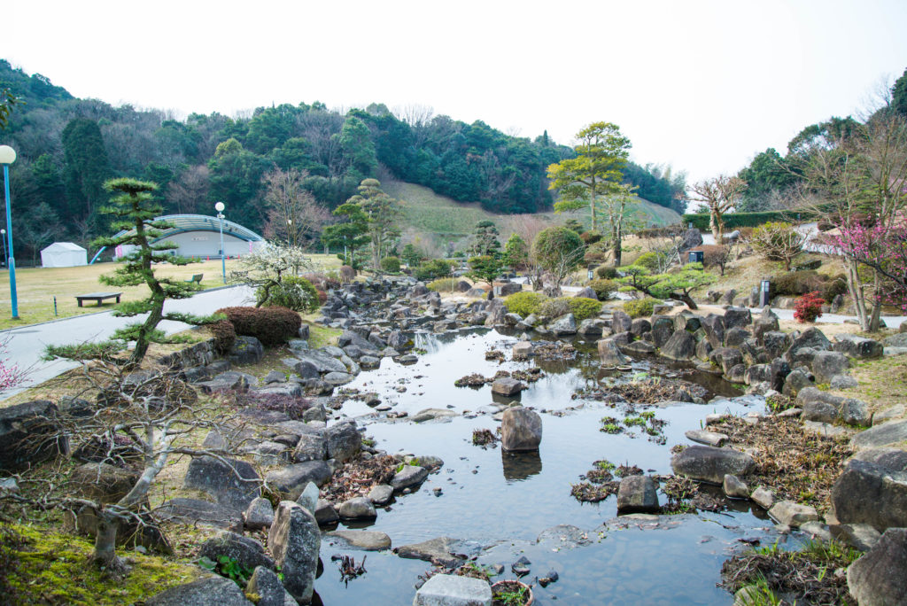 Kanmuriyama Park in Hikari has almost 2,000 plum blossom trees.